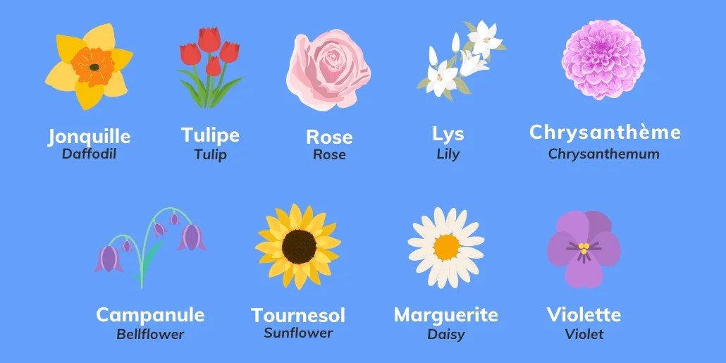 French Spring Vocabulary – French4Canada